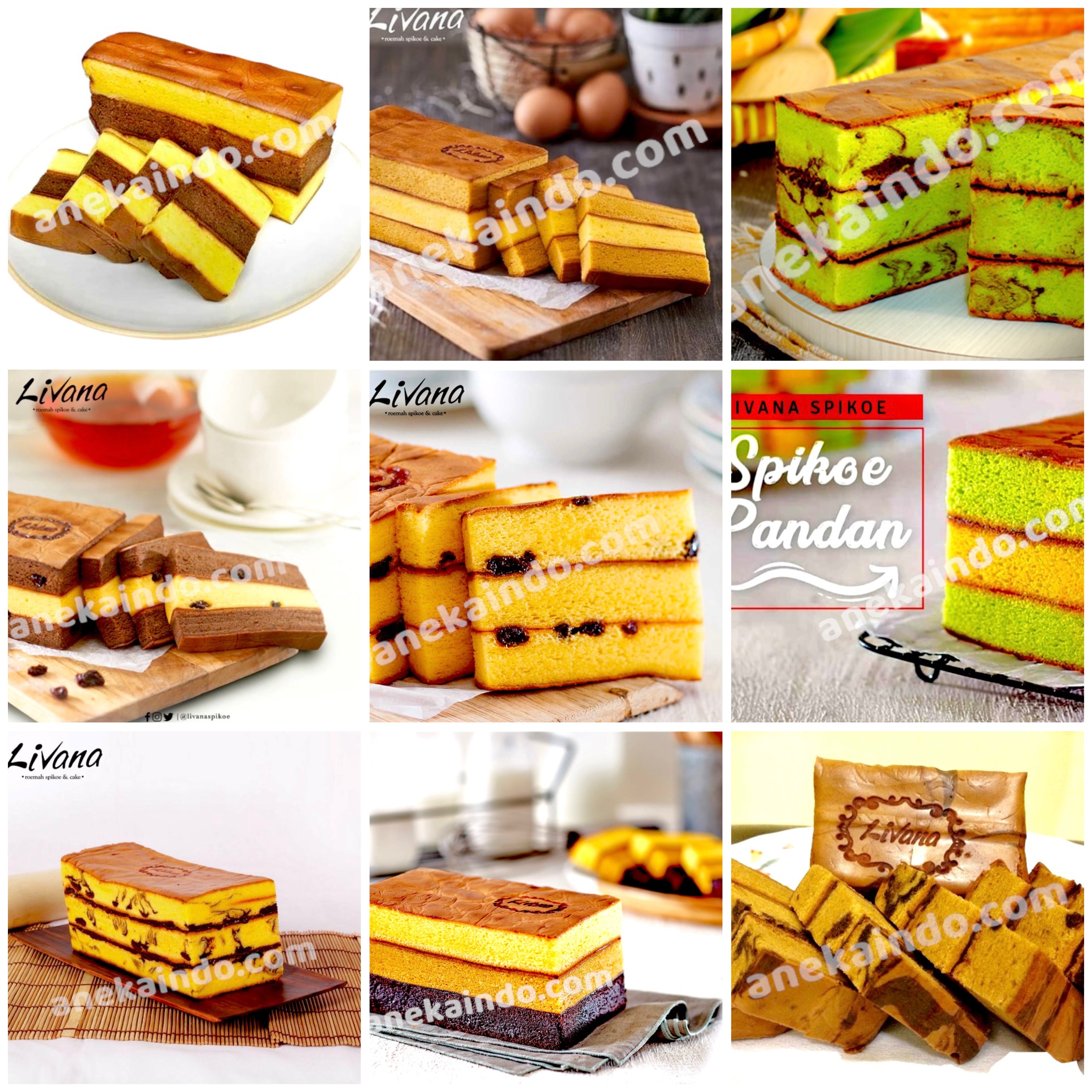 Spiku Livana Pre Order – Aneka indo